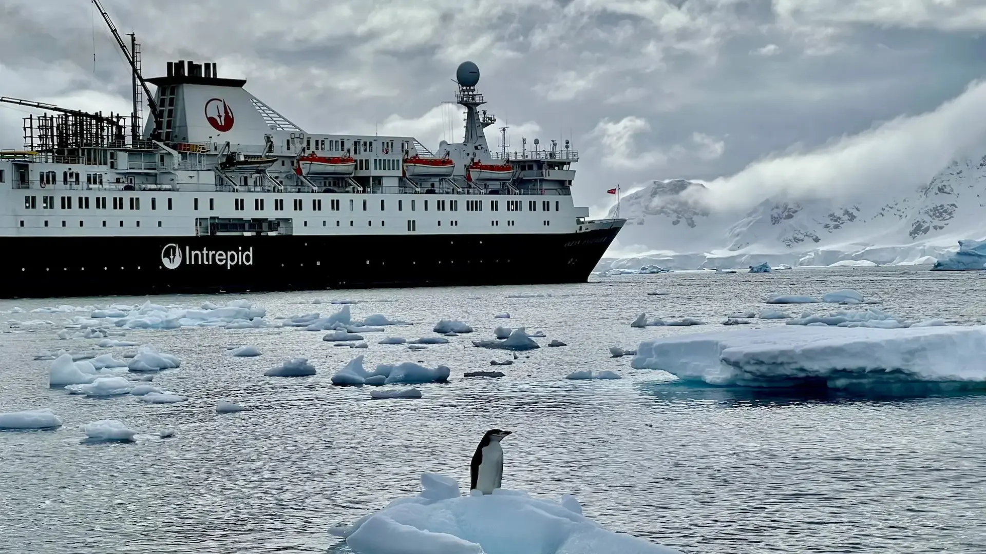 Habitaciones por 100.000 euros: así es el Ocean Endeavor, un barco que ...