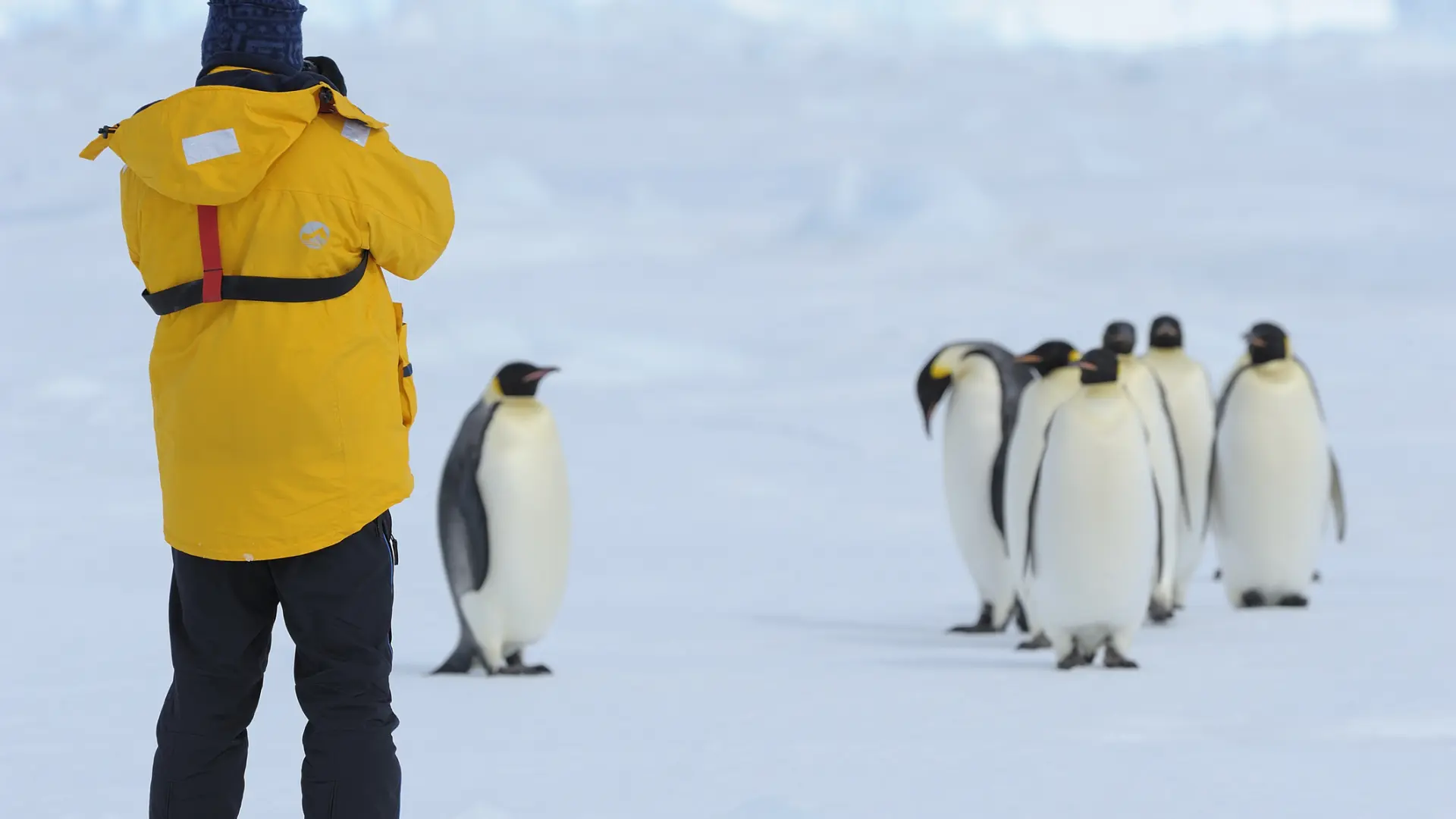 Oferta de trabajo en La Antártida: si no eres friolero, 150.000 euros ...